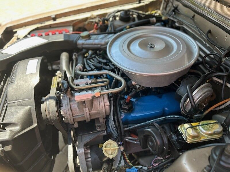 Sold - 1982 Ford Thunderbird Town Landau With Less Than 8,200 Miles ...