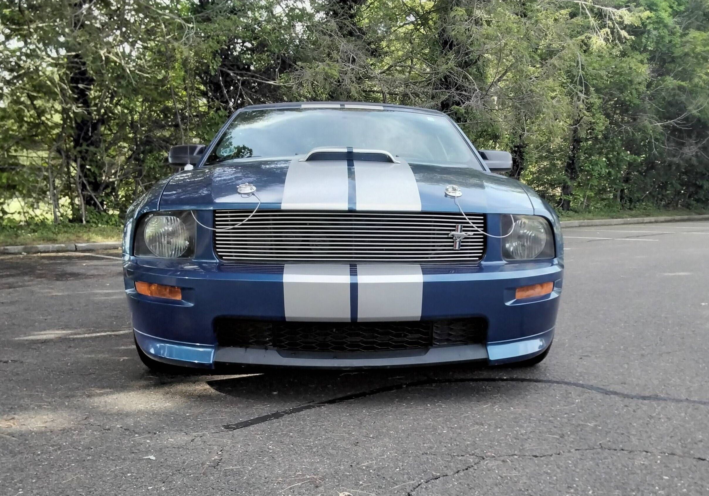 Drop-Top Muscle: 2008 Ford Mustang Shelby GT Convertible - Hemmings.com