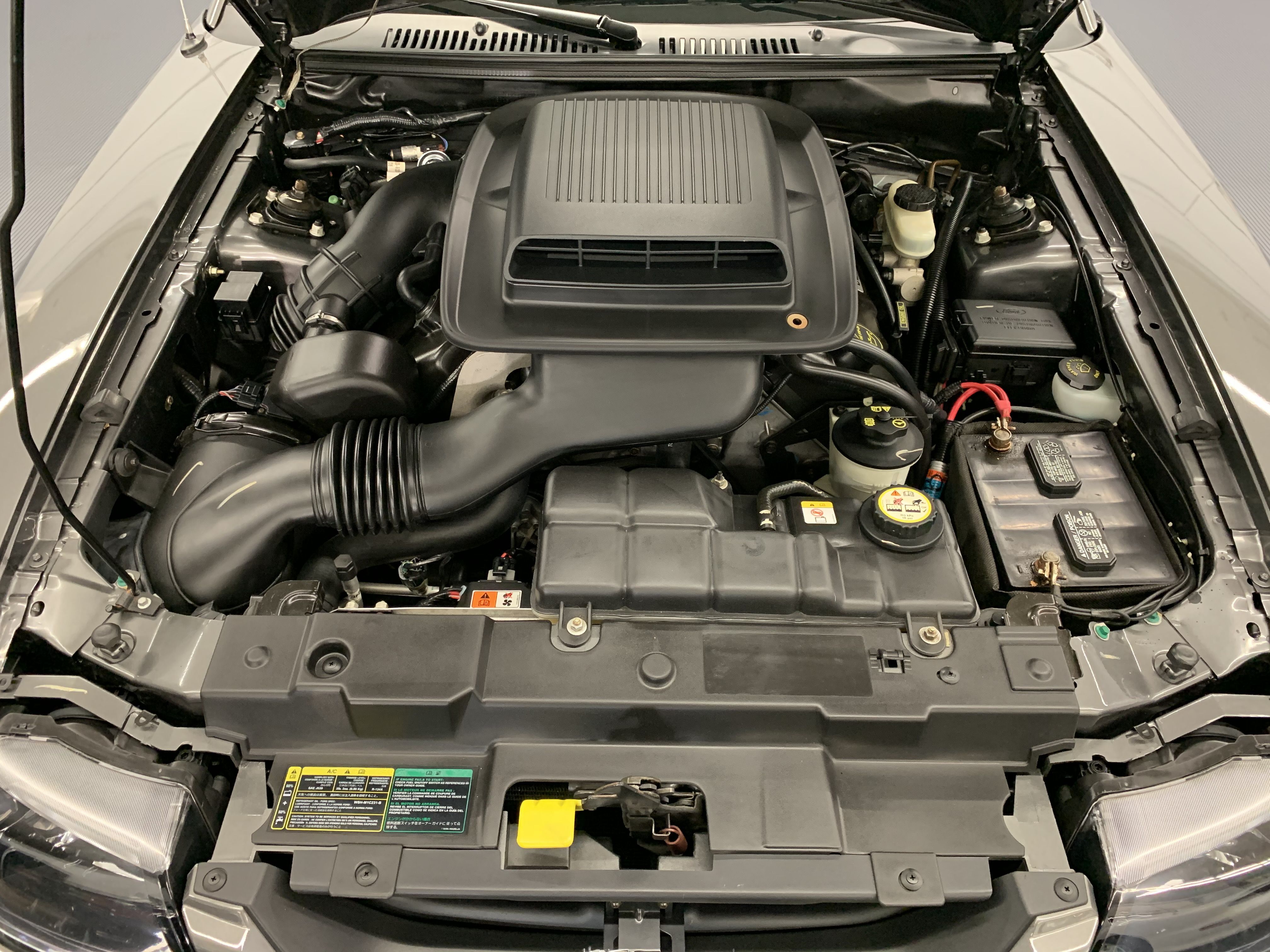 8K-Mile 2003 Ford Mustang Mach 1 - Hemmings.com